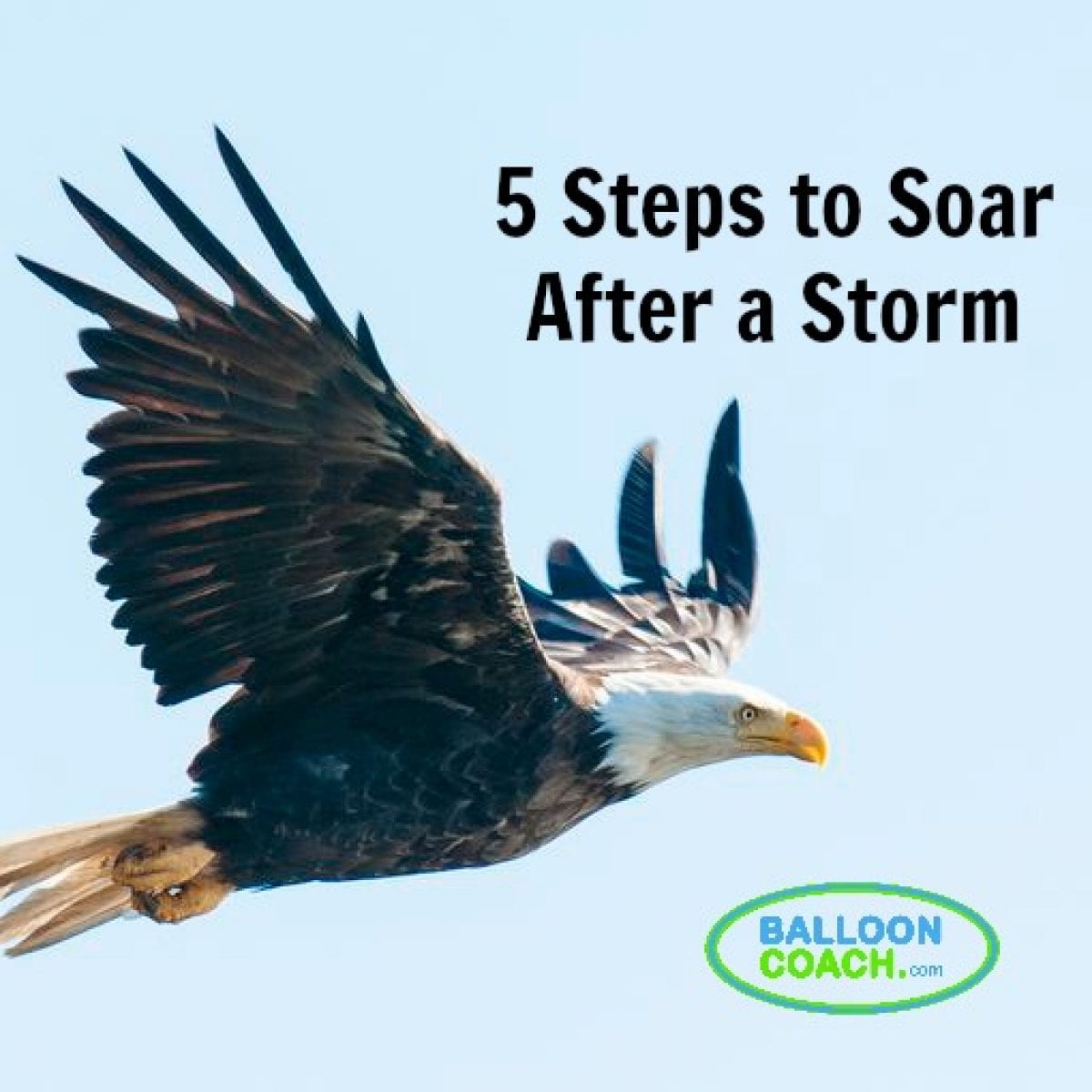 5 Steps to Soar After a Storm - Balloon Coach